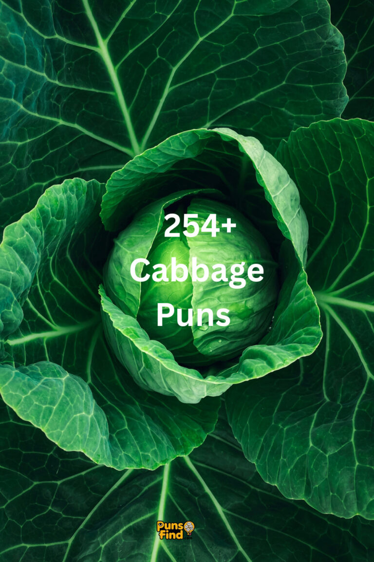 🥬 254+ Cabbage Puns and Jokes That’ll Leaf You Laughing!